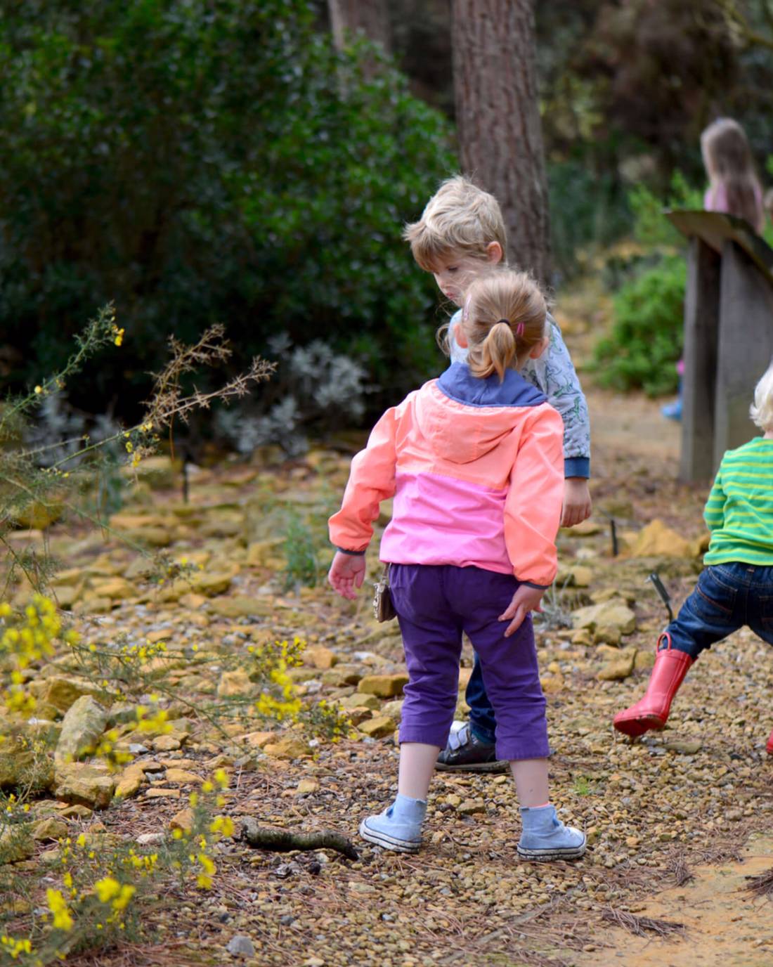 Learning & Education | Kew Guild