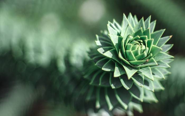 Learning & Education | Kew Guild