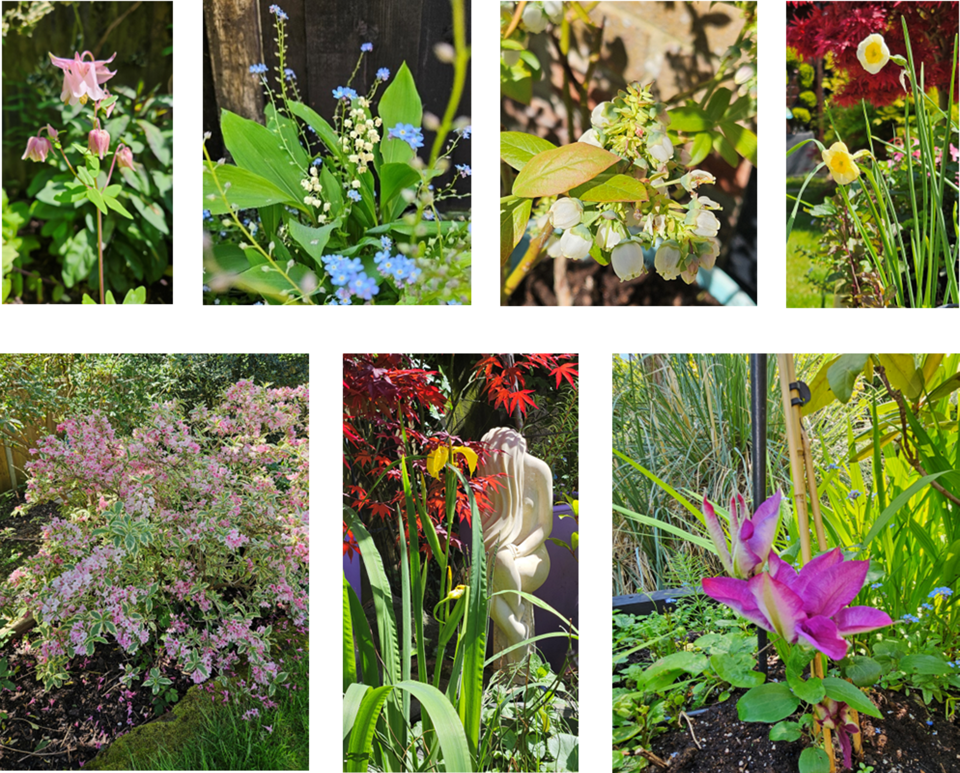 Kewite-mail Spring 2024 | Kew Guild