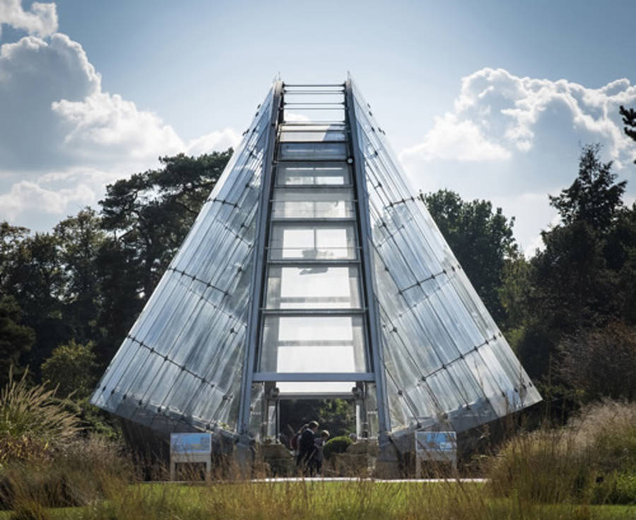 The Kew Guild Award Scheme | Kew Guild