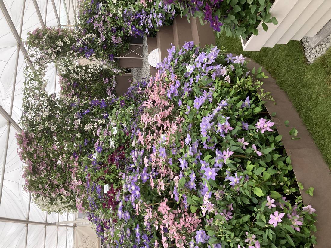 Raymond Evison | Kew Guild