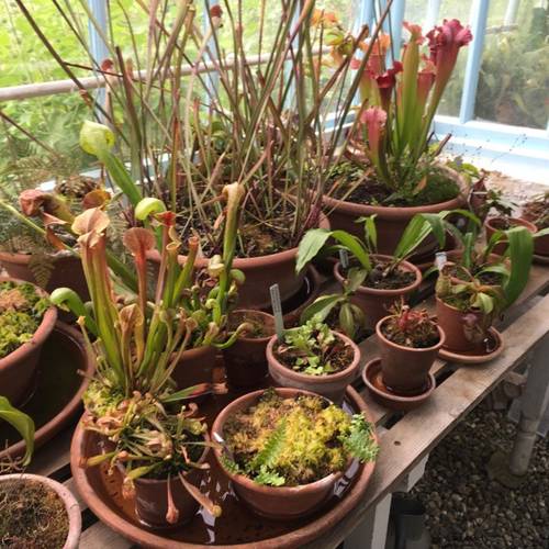 Down House and Ashdown Forest | Kew Guild